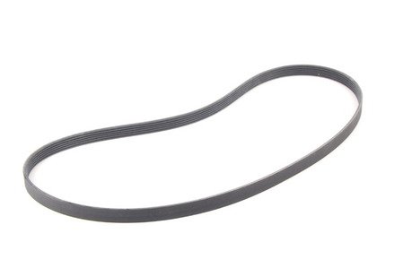 Genuine BMW - 11287631817 - Accessory Belt :Buy online at best price in ...